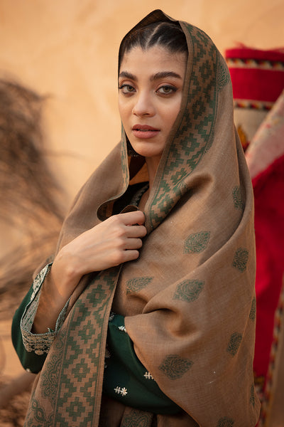 Printed Woolen Shawl – Ferozae